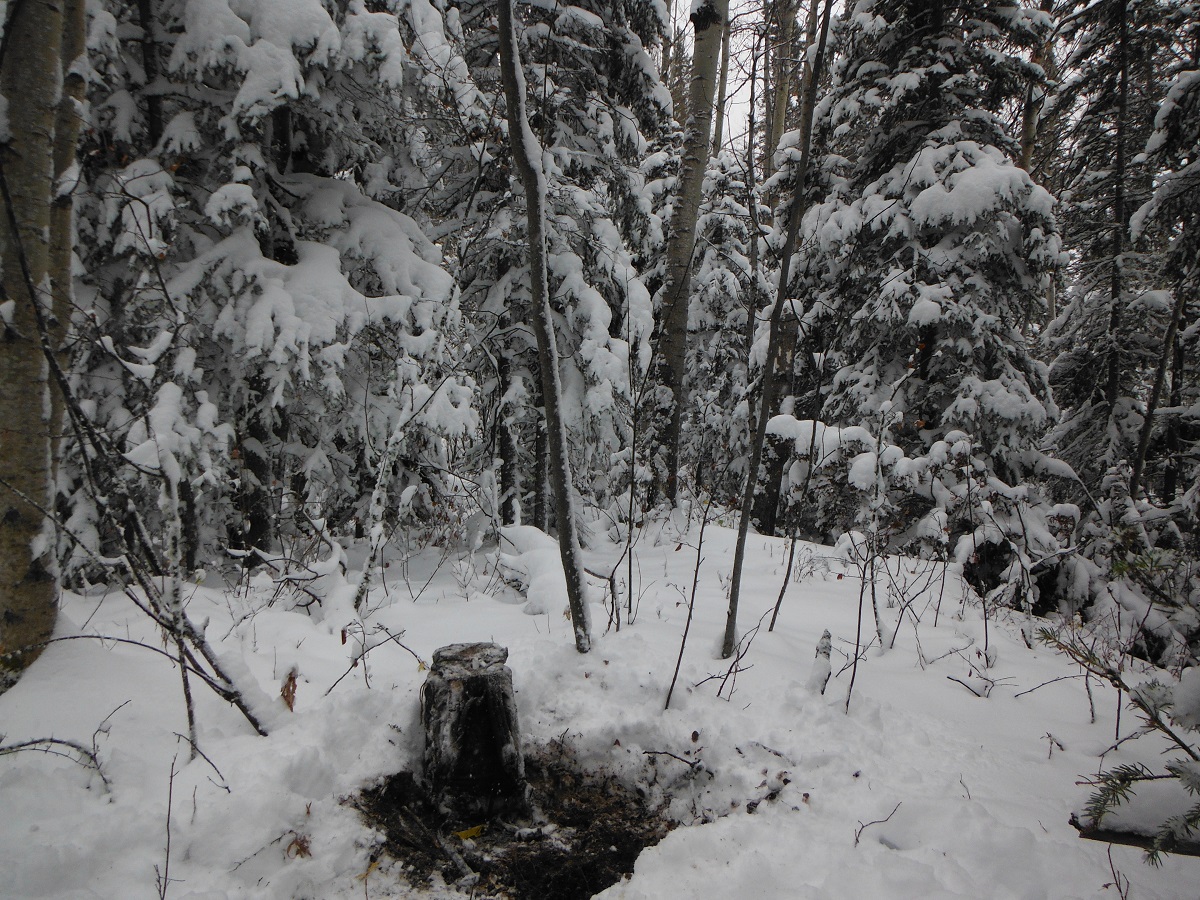 Working in the Winter - Ember Archaeology