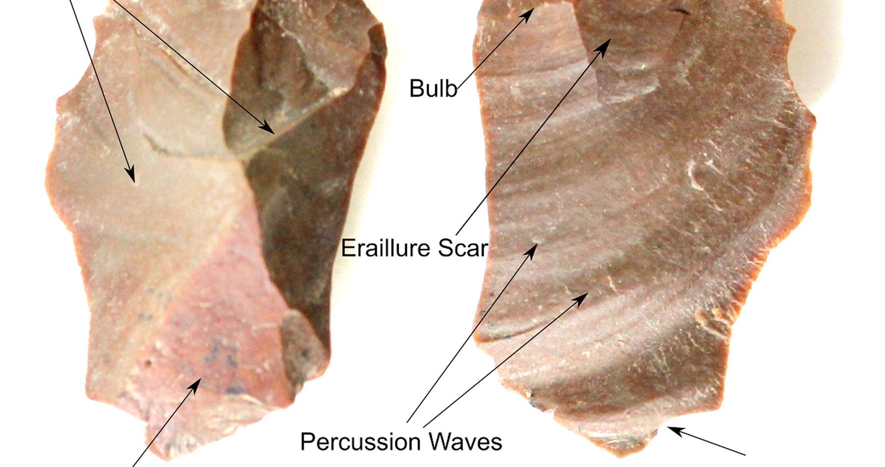 Features Of A Flake Ember Archaeology Features Of A Flake Ember Archaeology