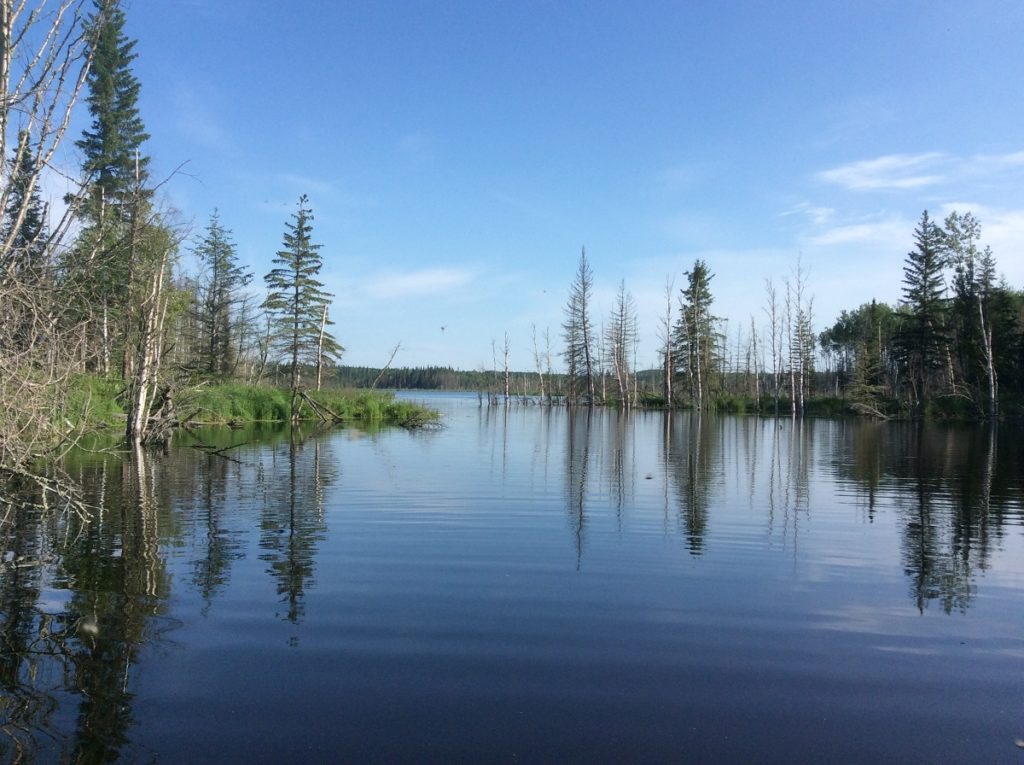 Archaeology Around the Wabasca-Desmarais Area - Ember Archaeology