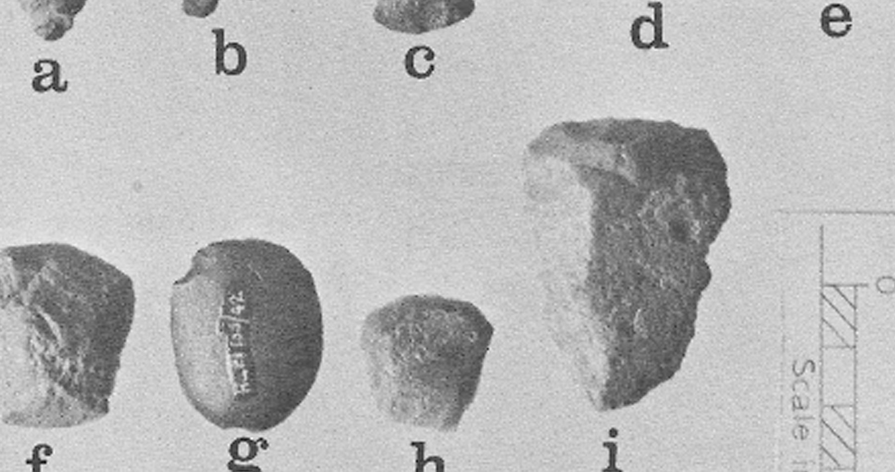 The Alook Site - HaPl-1 - Ember Archaeology