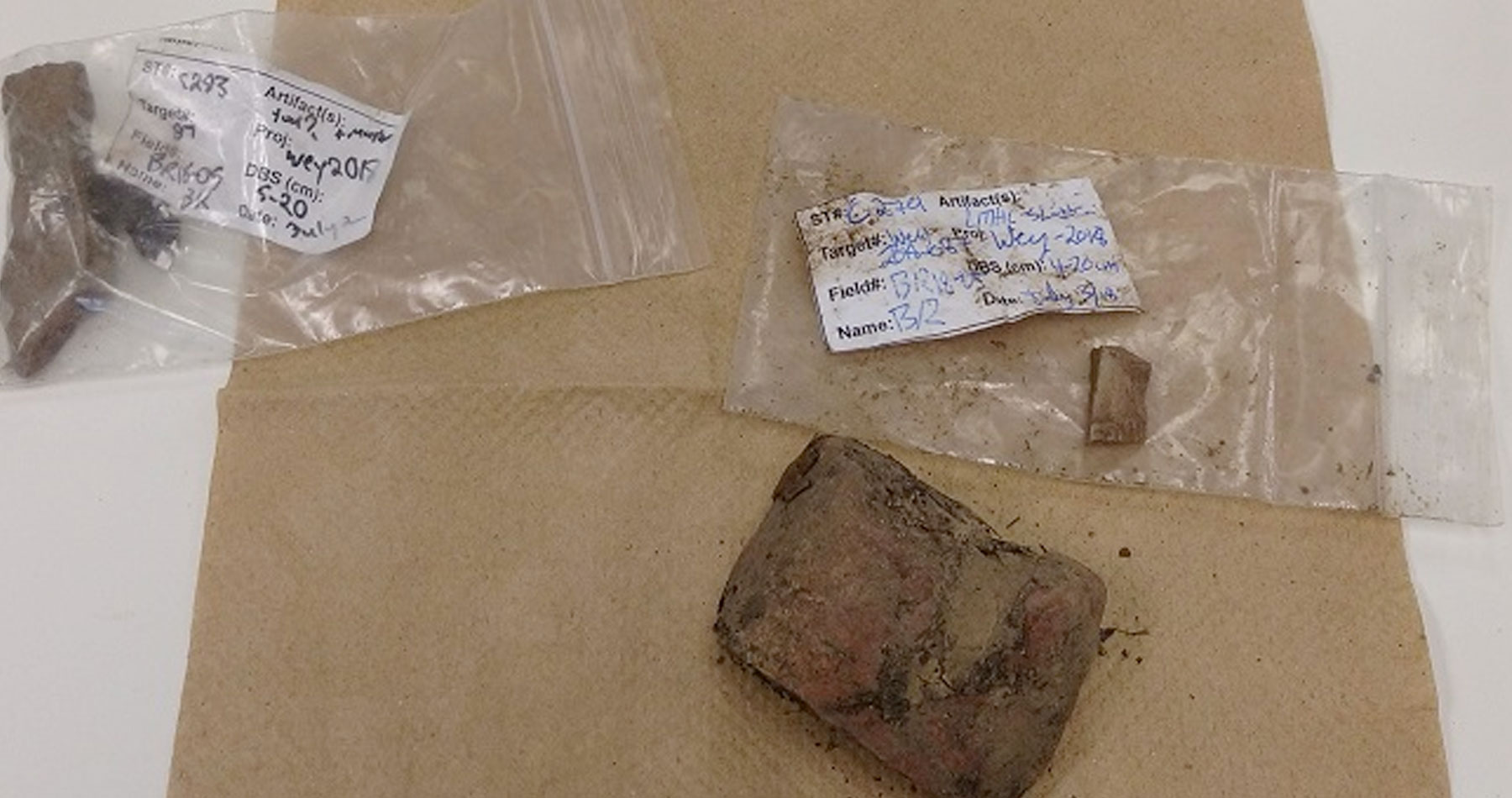 Muddy Lab Secrets - Ember Archaeology