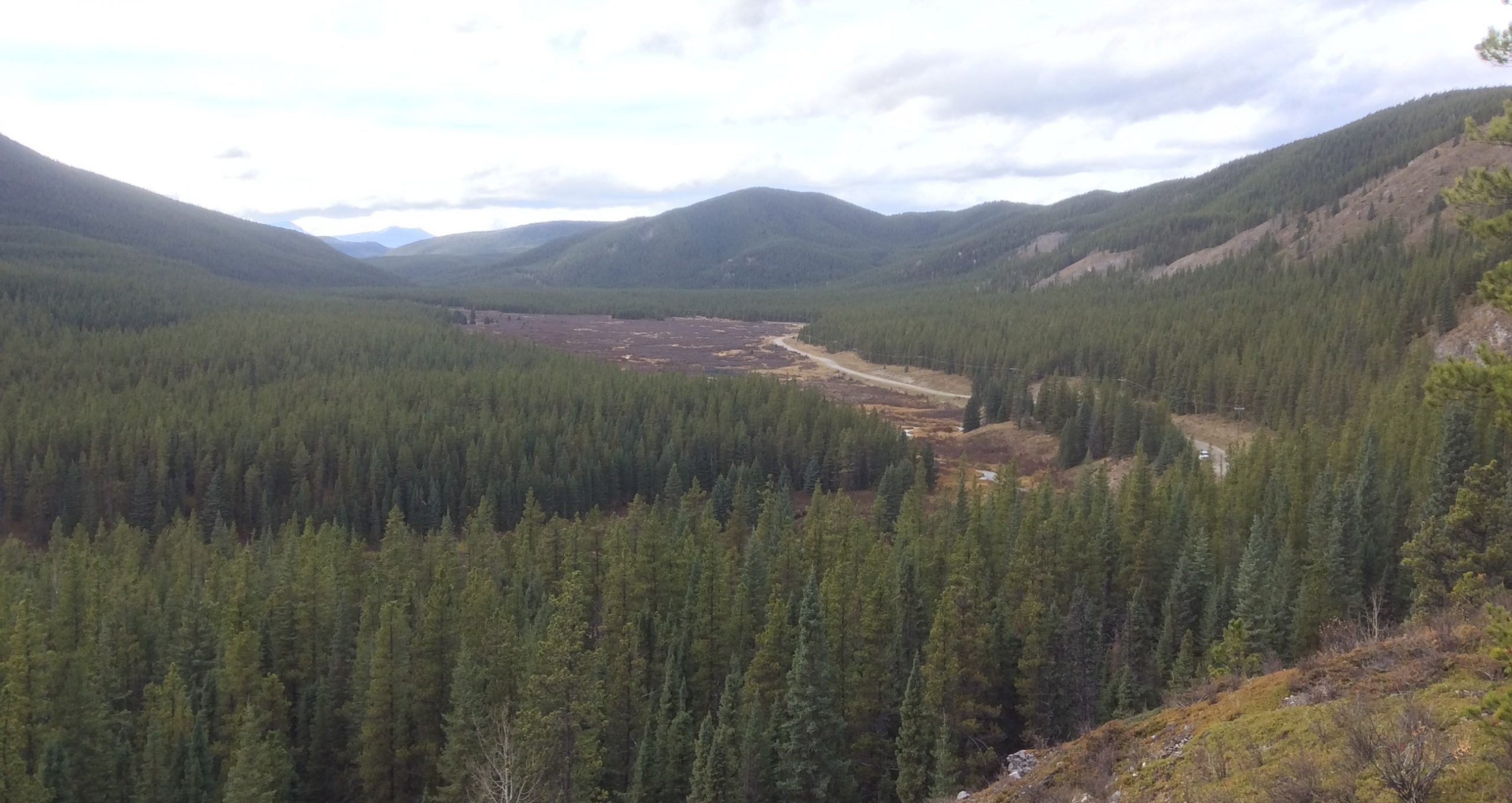 Sundre Forest Products Historical Resources Management Program - Ember Archaeology