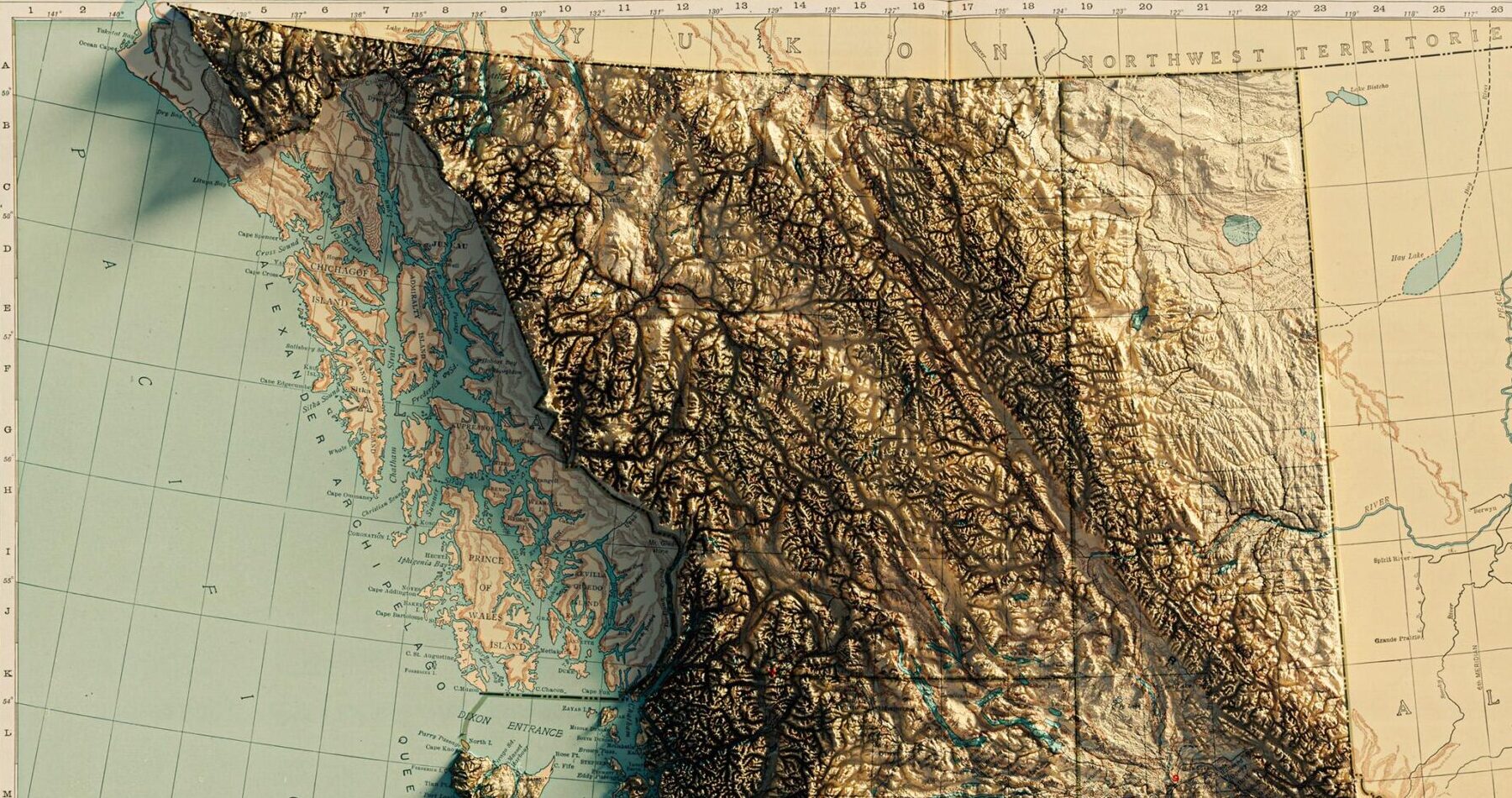 Animal Track - Bears - Ember Archaeology